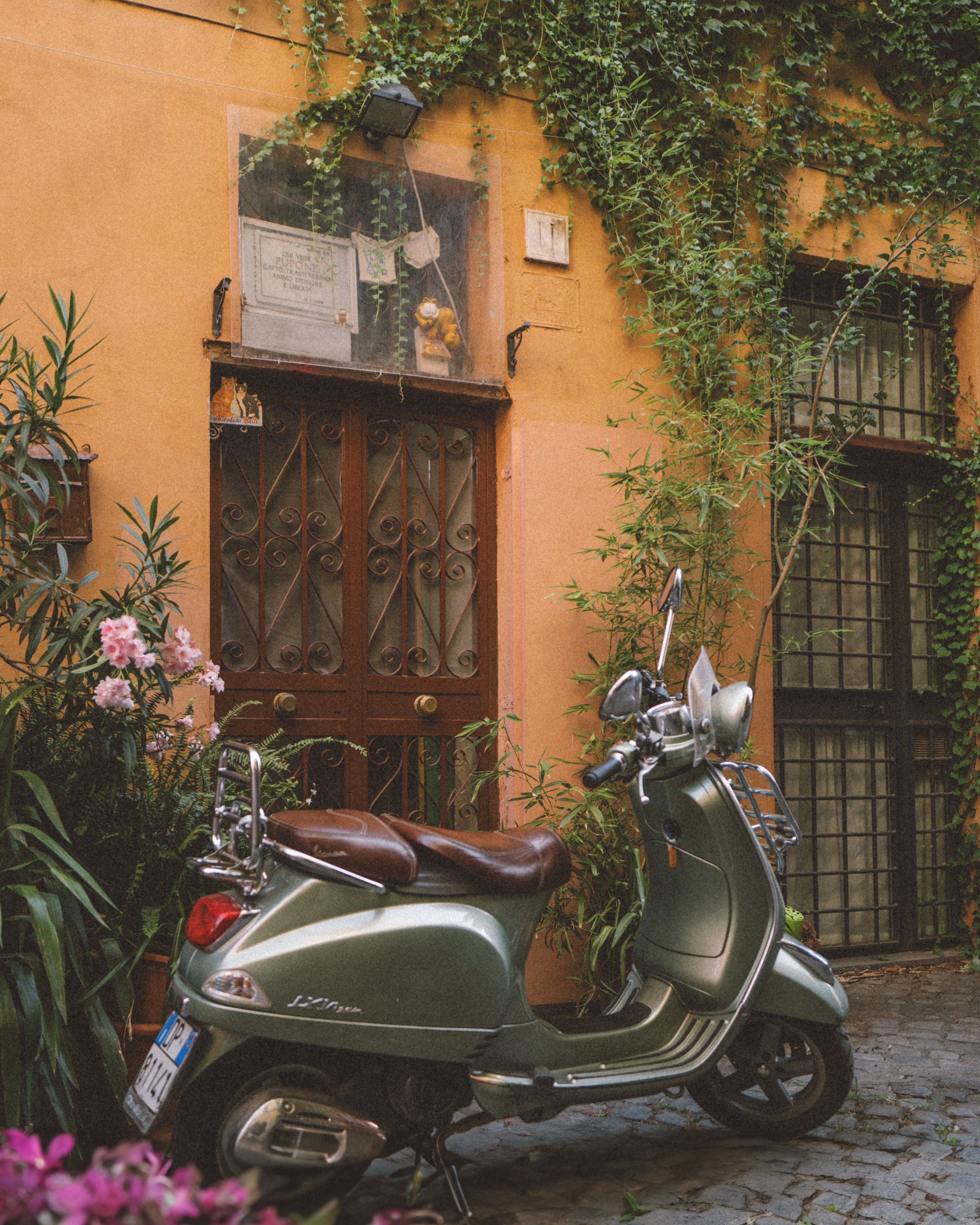 Lookbook/Endless-Summer – eightyfiveclo